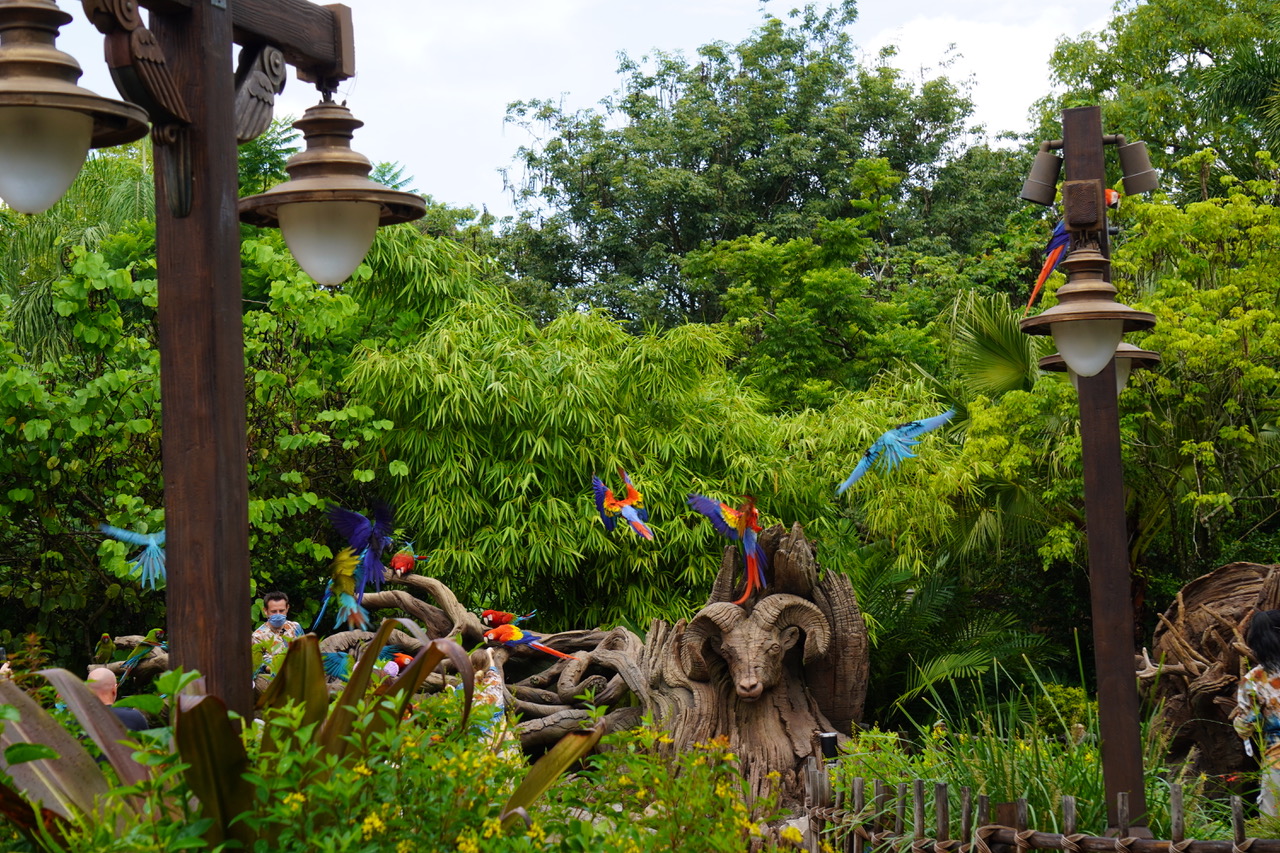 Winged Encounters - The Kingdom Takes Flight | Disney's Animal Kingdom