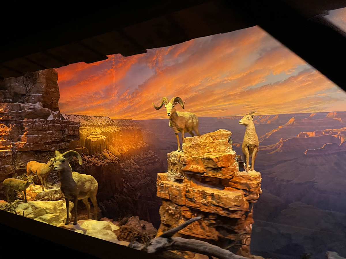 Disneyland Railroad Tomorrowland Station | Disneyland Park