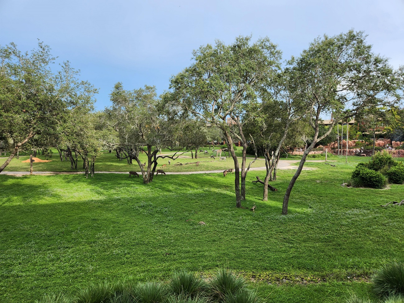 Room 3329 at Disney's Animal Kingdom Lodge (Jambo House)